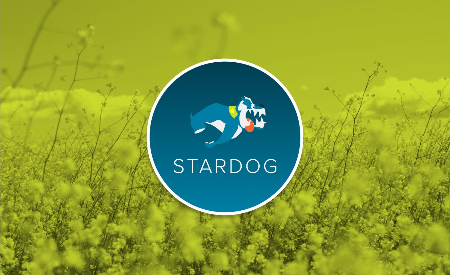 Springtime for Stardog | Stardog